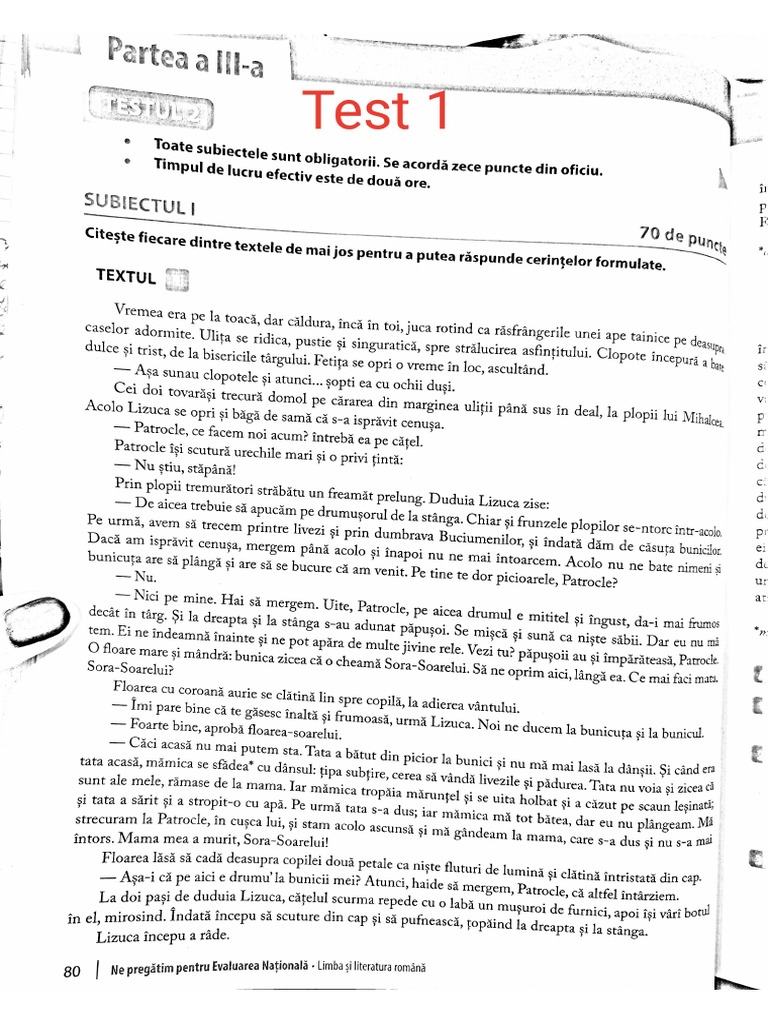 Subiecte Paralela 45 en | PDF