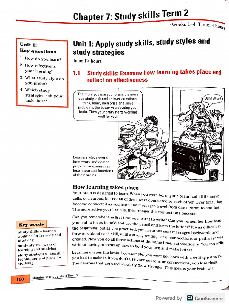 Term 2 Chapter 7 Study Skills | PDF