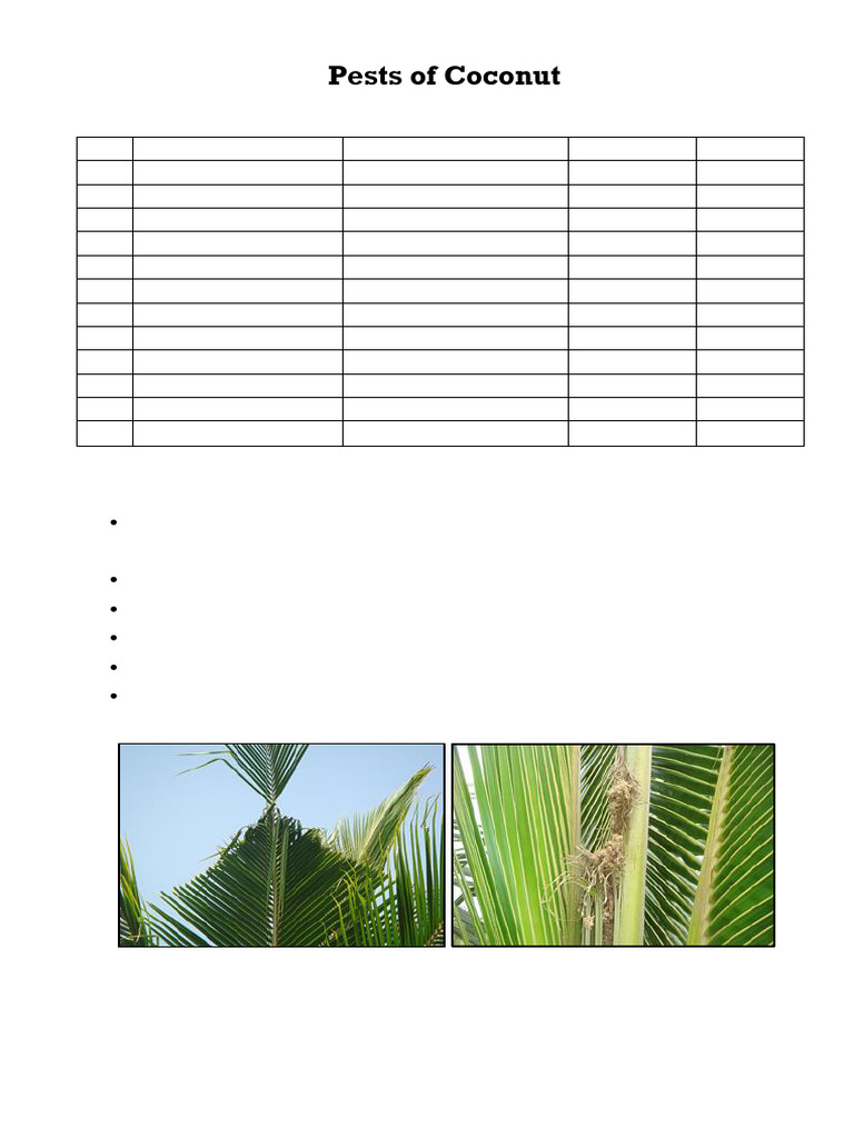 Lecture 9 - Pests of Coconut | PDF | Pupa | Beetle