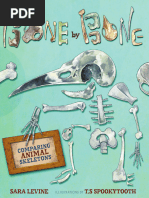 Chicken and Human Skeleton Comparison | PDF | Skeleton | Bone