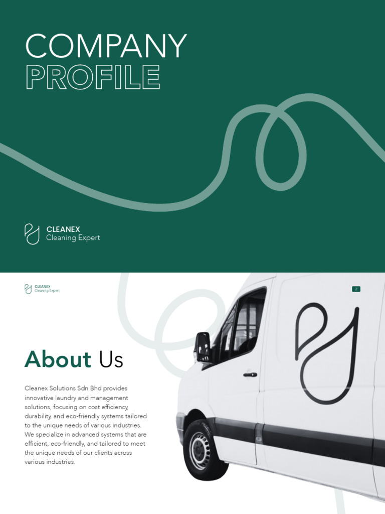 Cleanex Solutions: Eco-Friendly Laundry Innovations | PDF