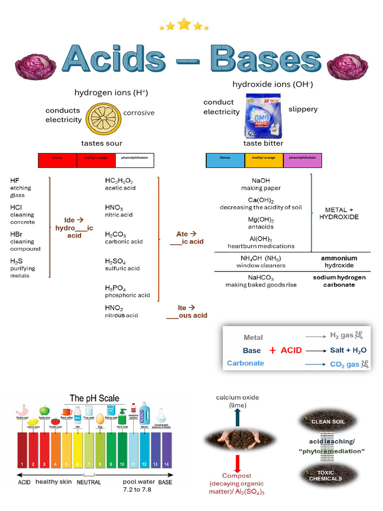 Acids and Bases | PDF