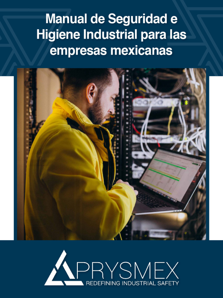 Manual de Seguridad e Higiene Industrial Mexico | PDF | Valores | México