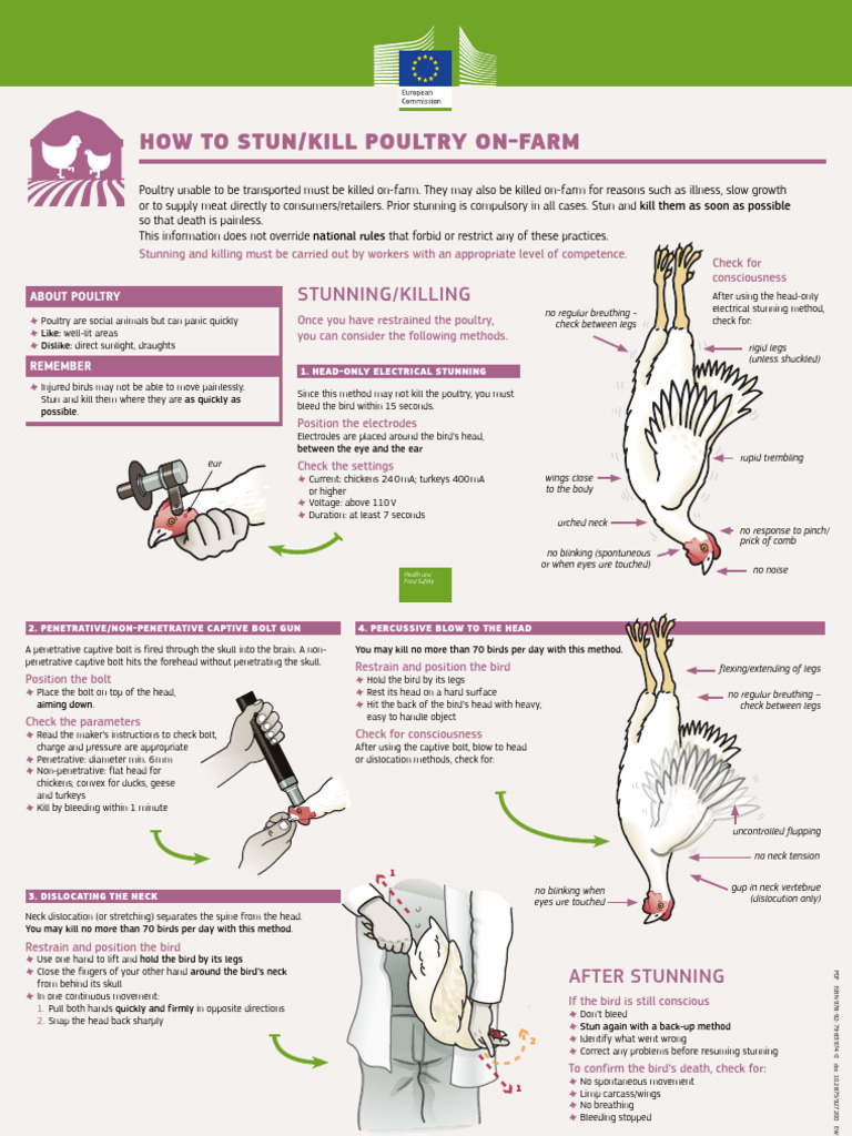 On-Farm Poultry Stunning and Killing Guide | PDF | Poultry | Animal Welfare