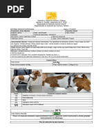 Cálculo de RER y MER para Gatos y Perros | PDF | Animales domesticados ...