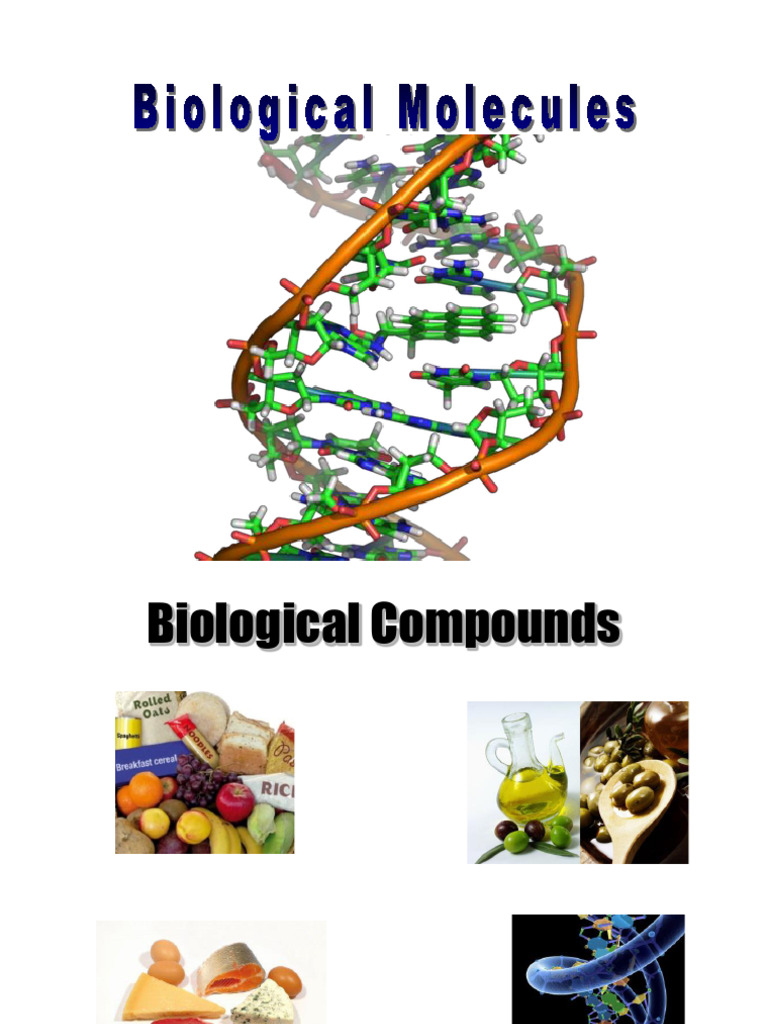 Overview of Biological Molecules | PDF | Wellness