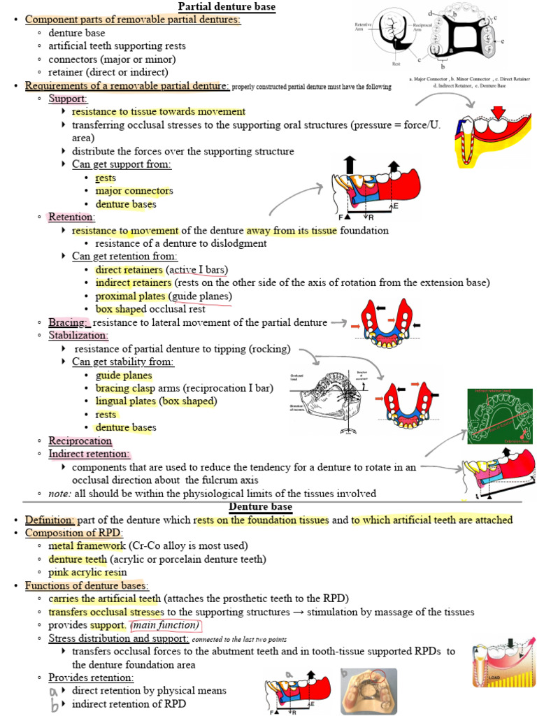 4 Partial Denture Base Pdf Dentures Dentistry Branches