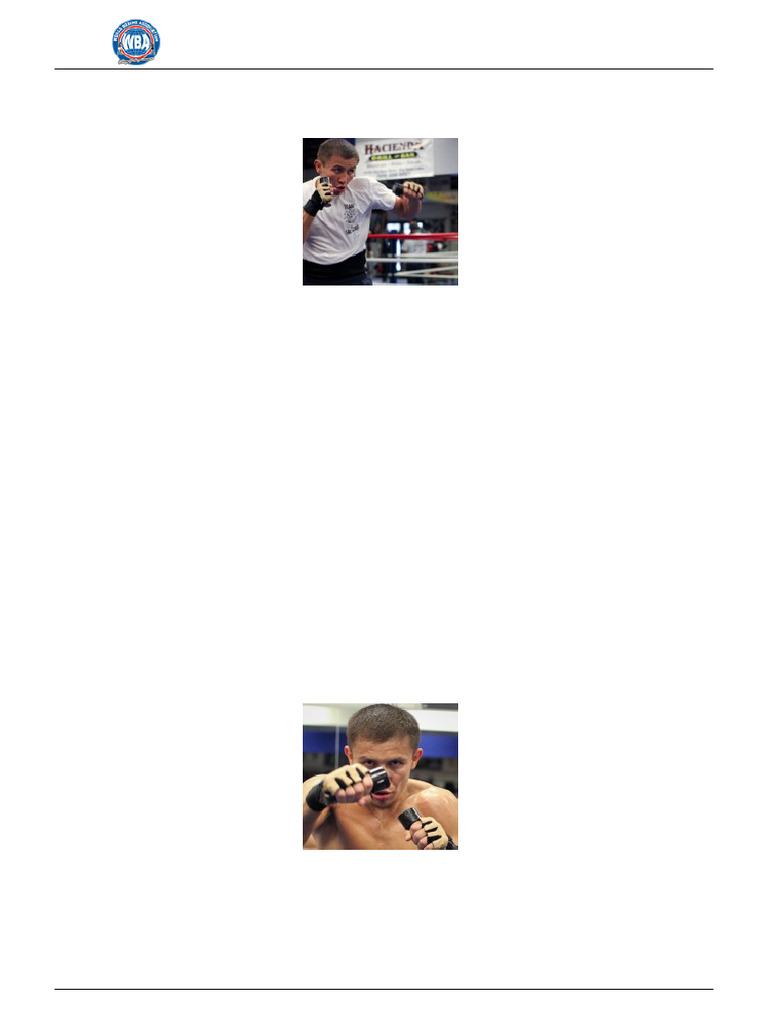 Gennady GGG Golovkin Workout | PDF