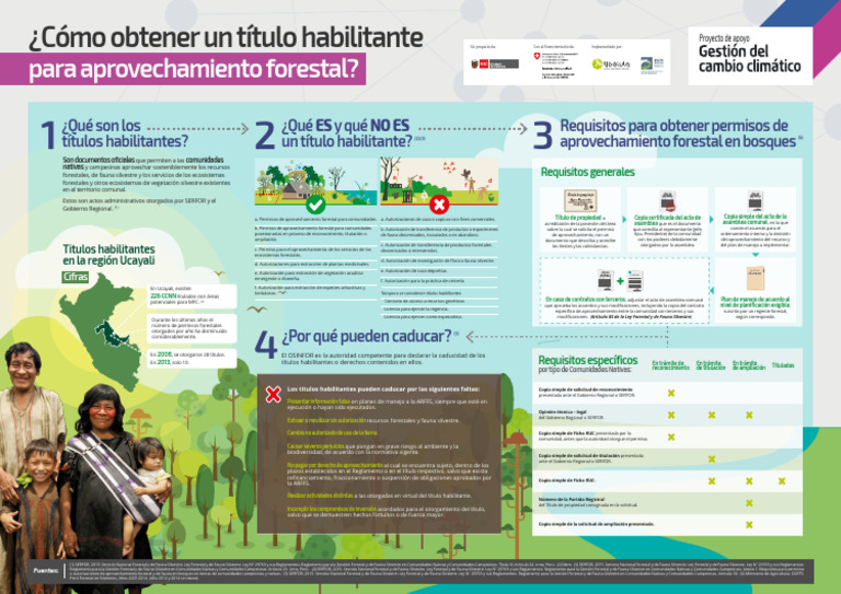 Infografia Titulos Habilitantes ProyectodeApoyo | PDF | Los bosques | Fauna