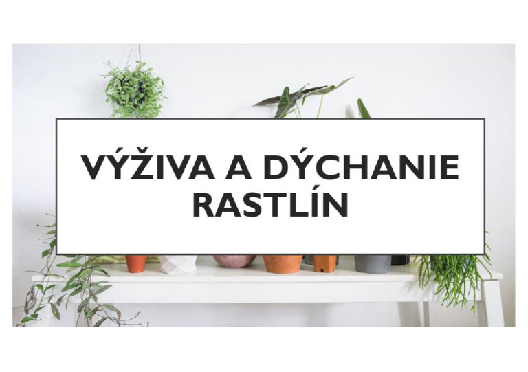Výziva A Dychanie Rastlin | PDF