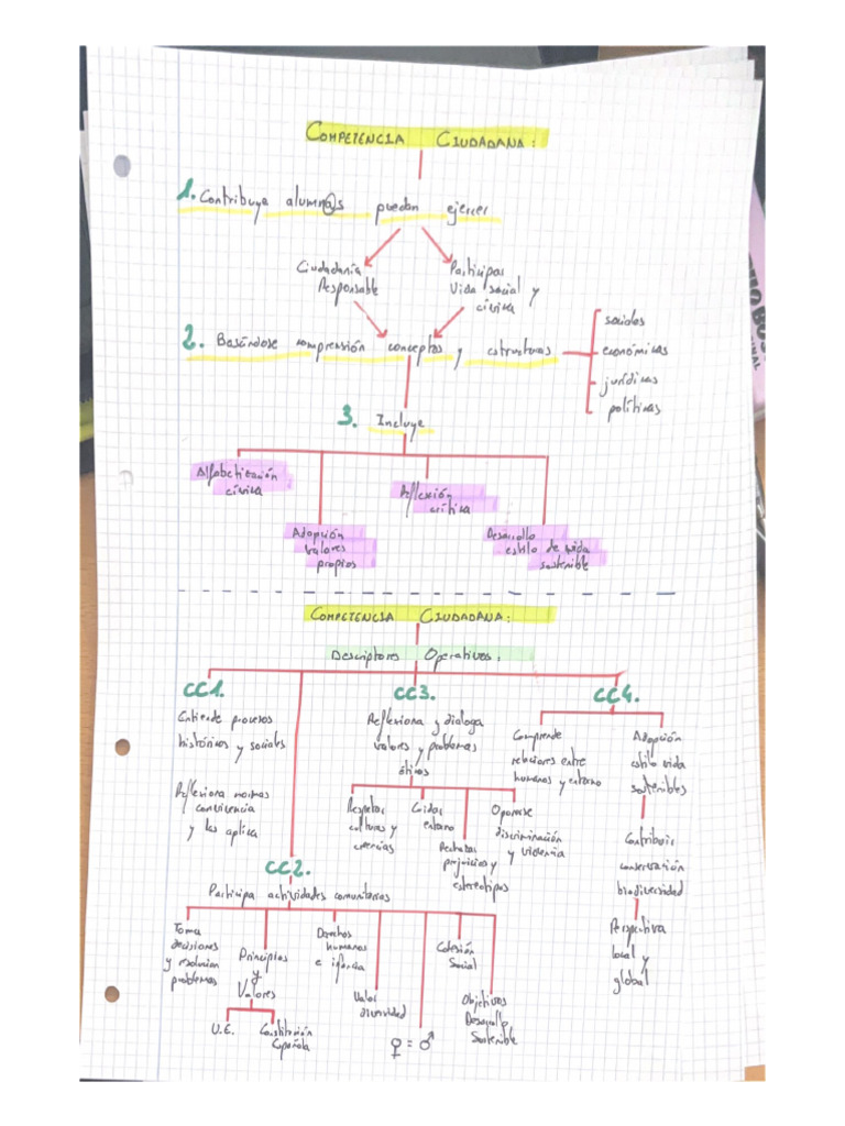 Esquema Sociales 2 | PDF