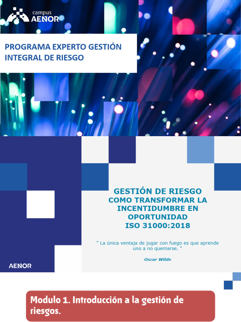 Gesti N Del Riesgo Iso 31000 2023 | PDF | Riesgo | Planificación