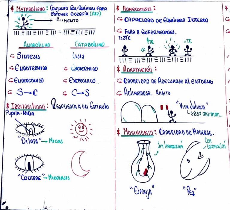 Adobe Scan 25 Ene. 2024 | PDF