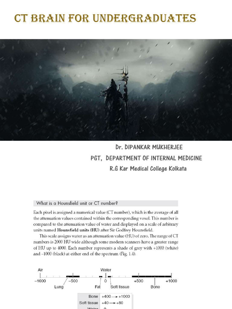 CT Ug | PDF | Neuroscience | Brain