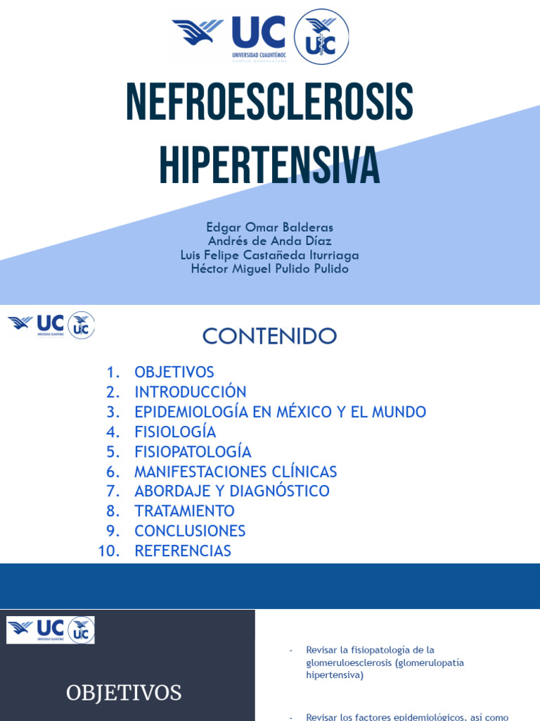 Nefroesclerosis Hipertensiva | PDF | Angiotensina | Riñón
