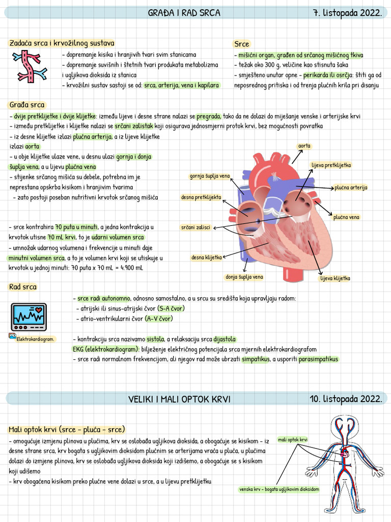 Biologija - Usmena Provjera | PDF