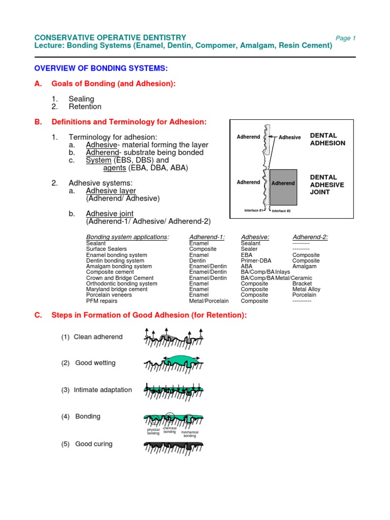 Overview of Bonding Systems | PDF | Dental Composite | Tooth Enamel