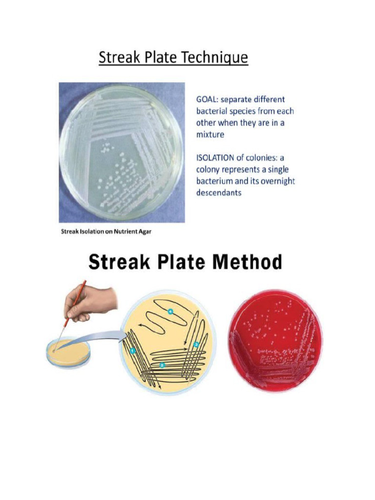 Streaking | PDF