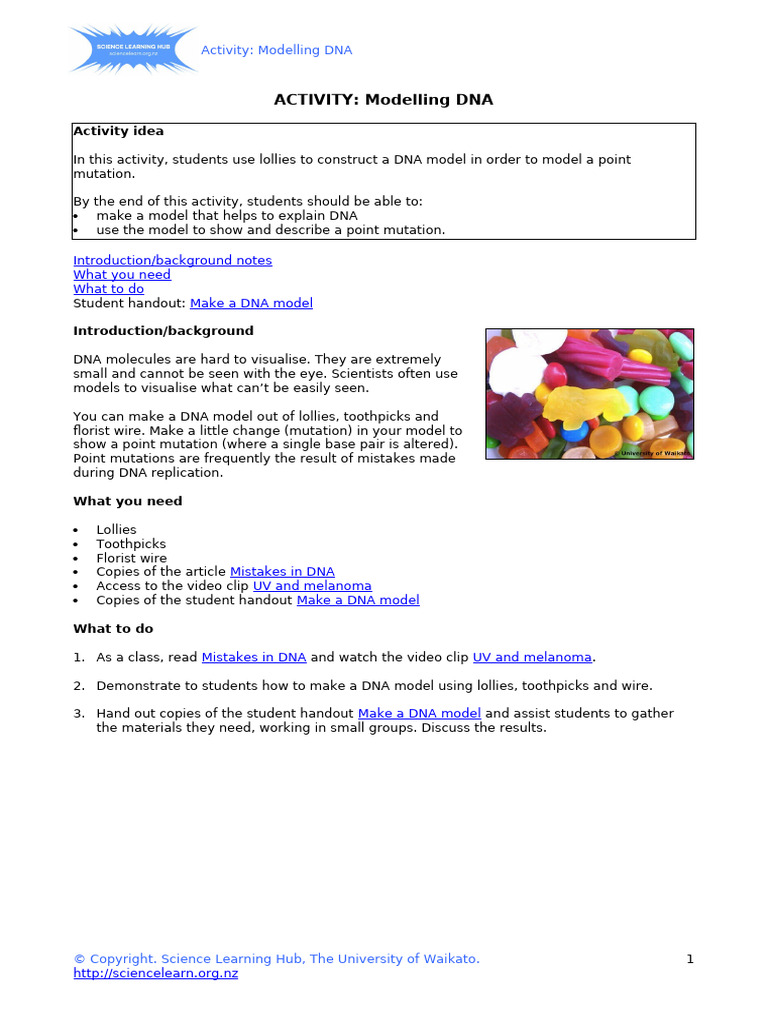 Modelling Dna Pdf Dna Mutation