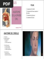 Anat Physio ORL | PDF | Oreille | Système vestibulaire