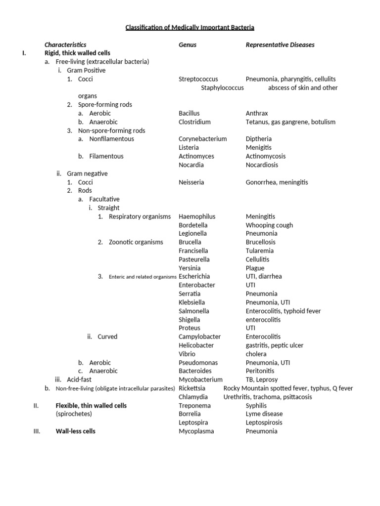 Classification of Medically Important Bacteria | PDF | Bacteria | Pneumonia