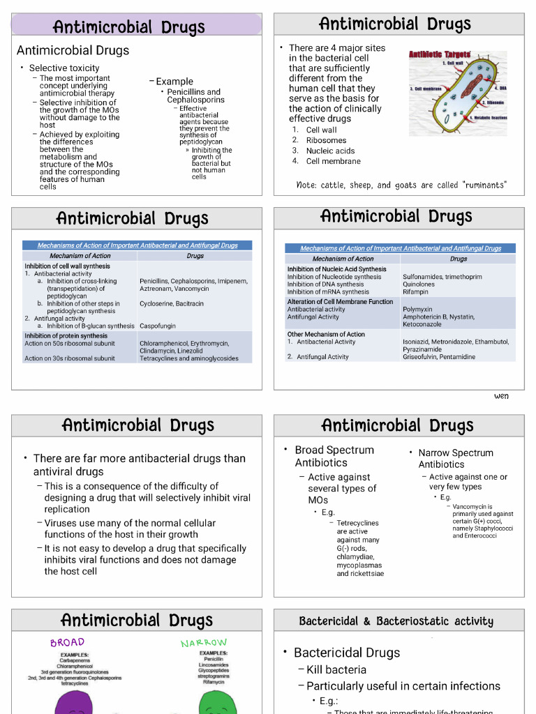 Antimicrobial Drugs Classification of Bacteria | PDF