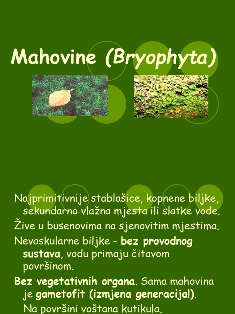 Mahovine (Bryophita) | PDF