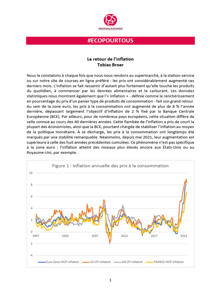 Inflation : Origines et Perspectives | PDF | Inflation | Banque ...