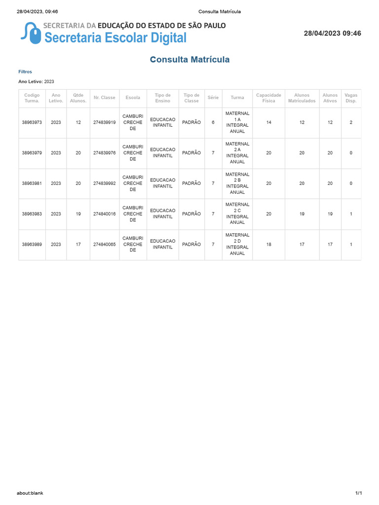 Consulta Matrícula | PDF
