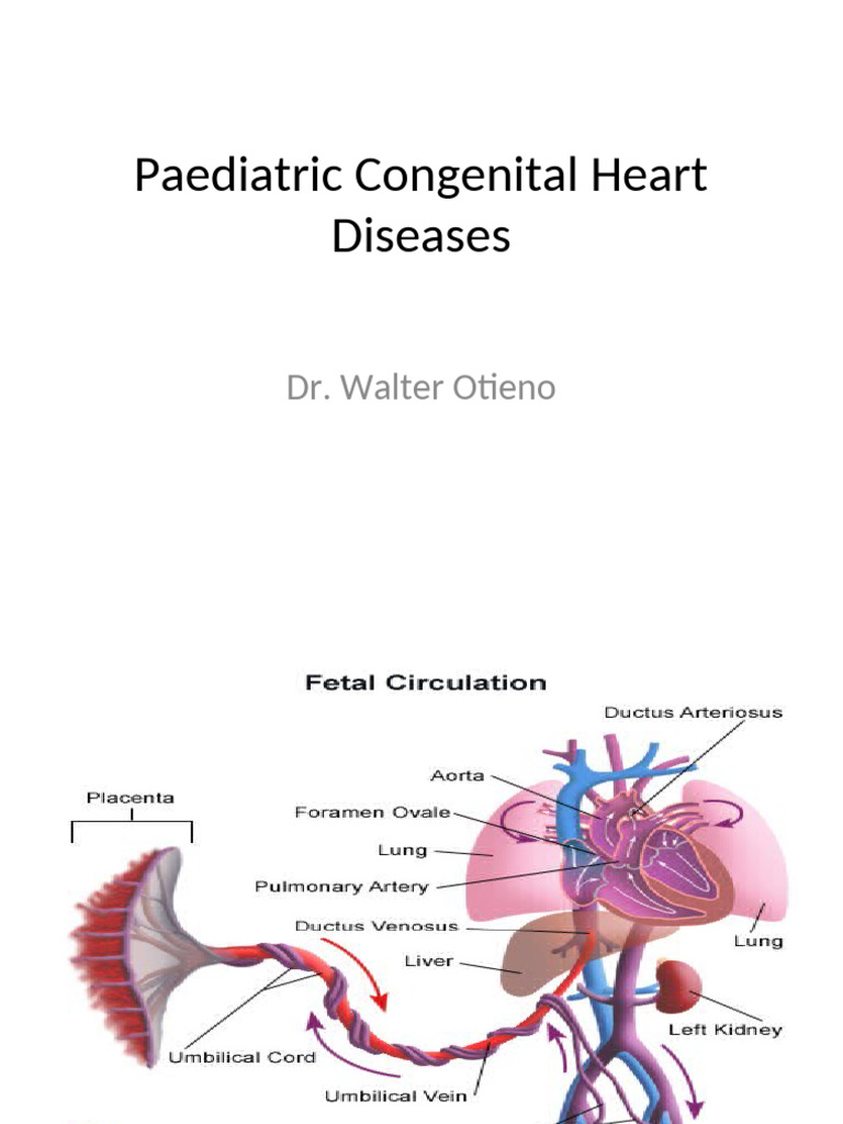 Paediatric Congenital Heart Diseases | PDF | Congenital Heart Defect ...