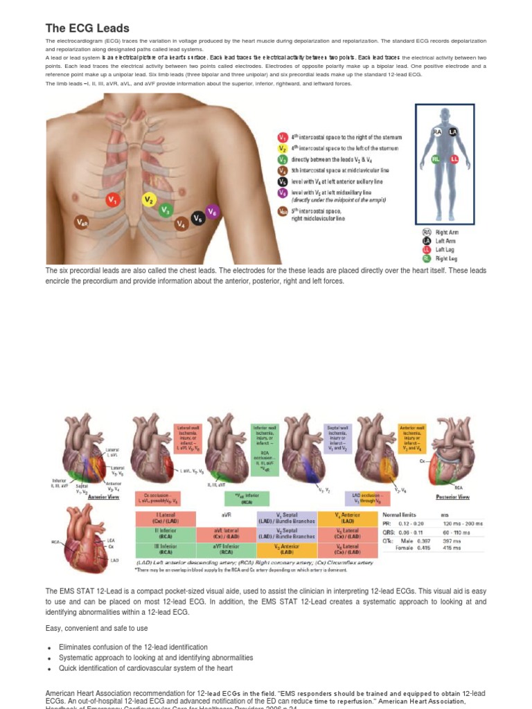 How To Install EKG / ECG Lead PDF | PDF