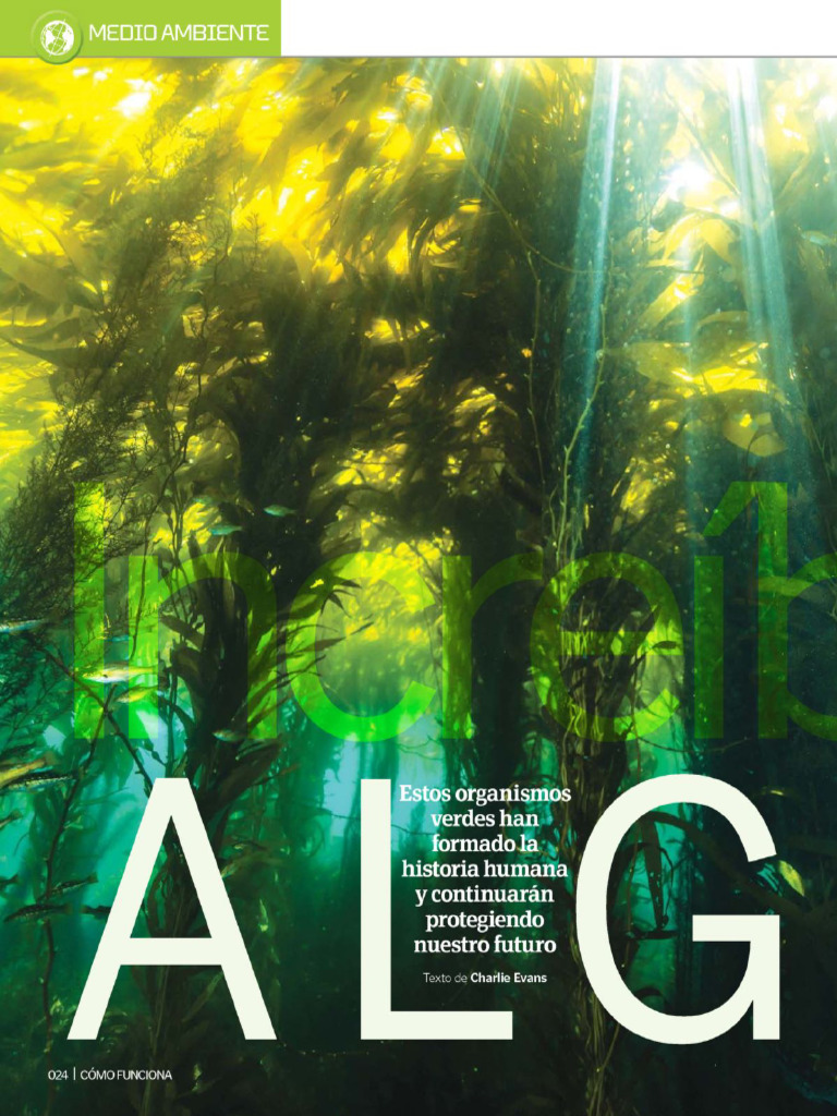 ALGAS - Cómo Funciona | PDF