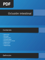 Suboclusion Intestinal | PDF | Enfermedades digestivas | Gastroenterología