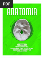 Forames Do Crânio | PDF | Neuroanatomia | Anatomia humana