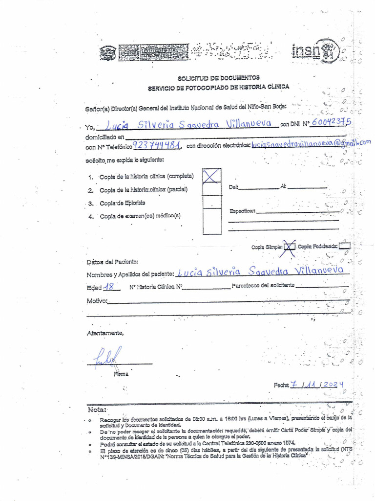 Lucia SIlveria Saavedra Villanueva | PDF