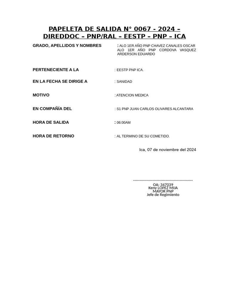 Modelo de Papeleta de Salida | PDF