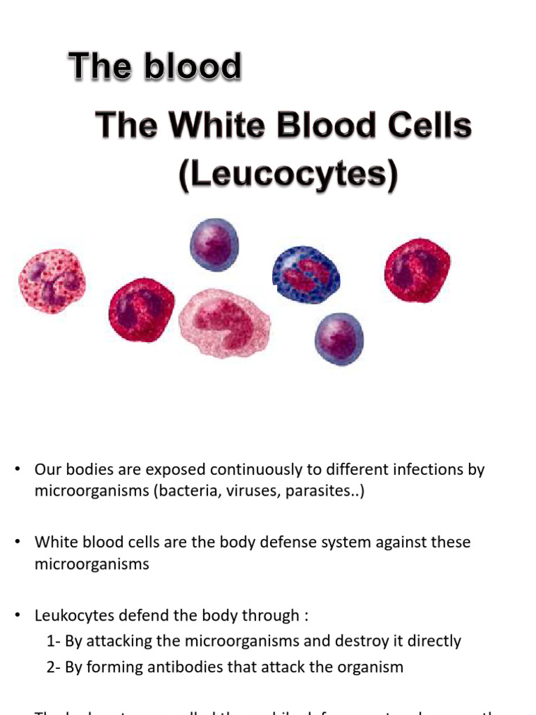 Blood 3-White Blood Cells and Immunity (Lecture 3) | PDF | White Blood ...