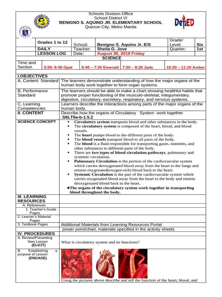 Circulatory-System-2 | PDF | Atrium (Heart) | Circulatory System