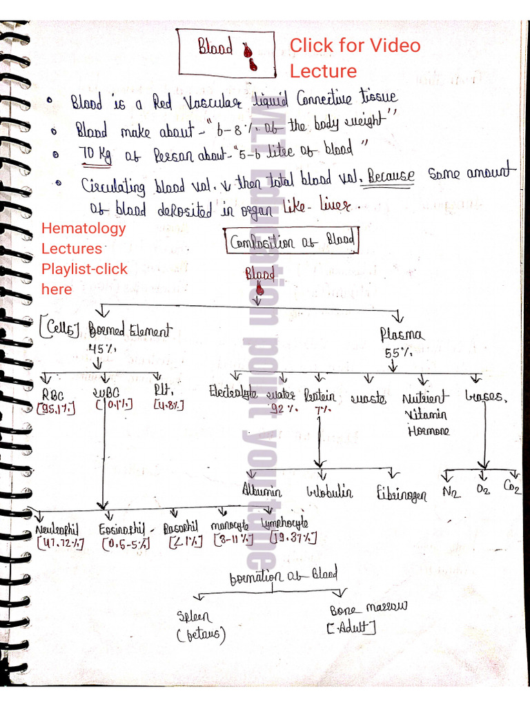 Handwriting Notes RBC, WBC, and Platlets | PDF