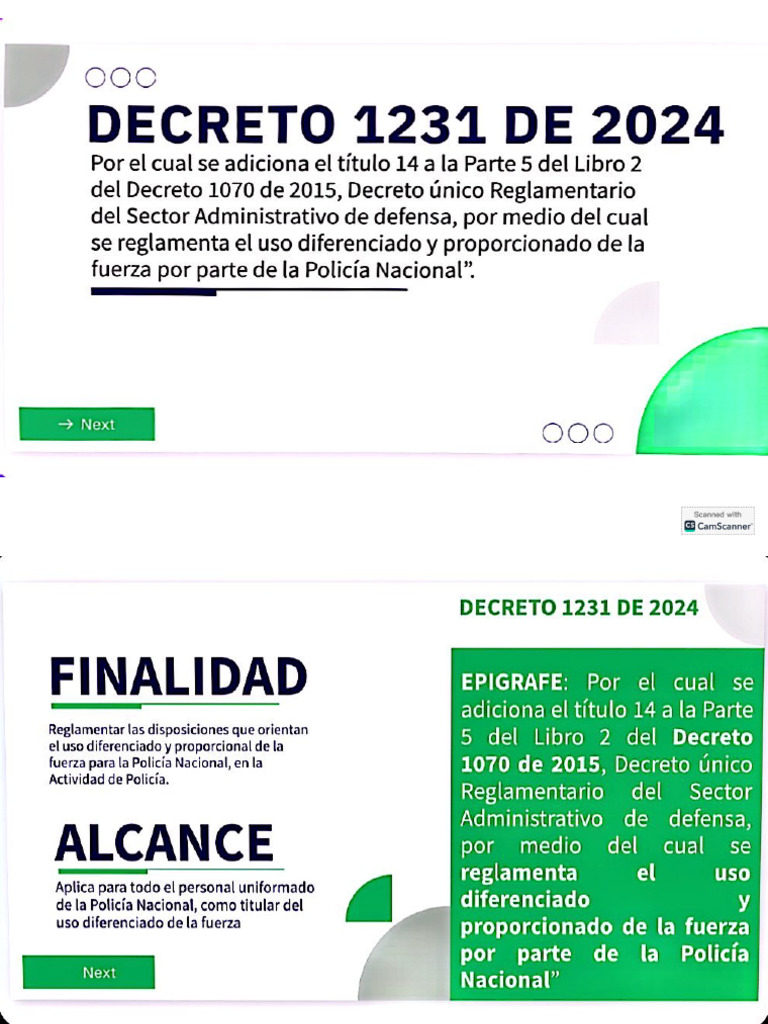 Decreto 1231 de 2024 MODELO DIFERENCIADO | PDF