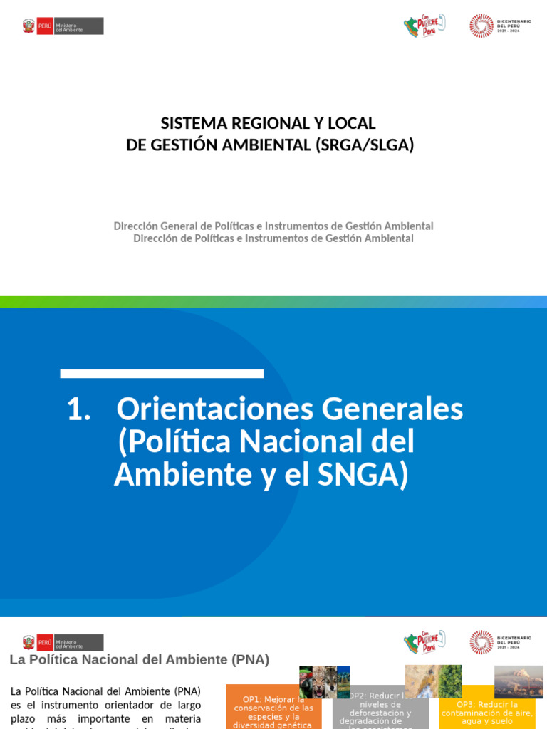 Snga-Srga-Slga MDD 17.10.24 | PDF | Entorno natural