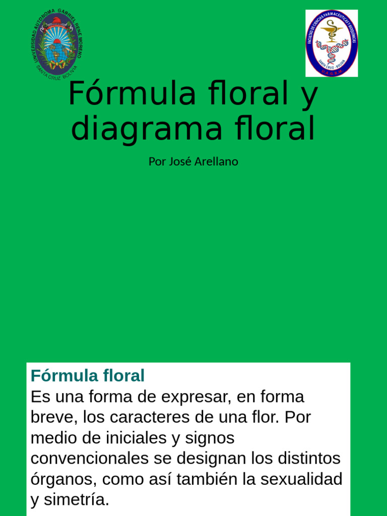 Fórmula Floral y Diagrama Floral Bot Far | PDF | Flores | Sistema ...