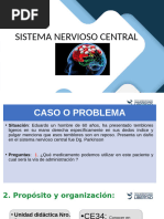 Resumen Fármacos Del Sistema Nervioso Central | PDF | Antidepresivo | Antipsicótico