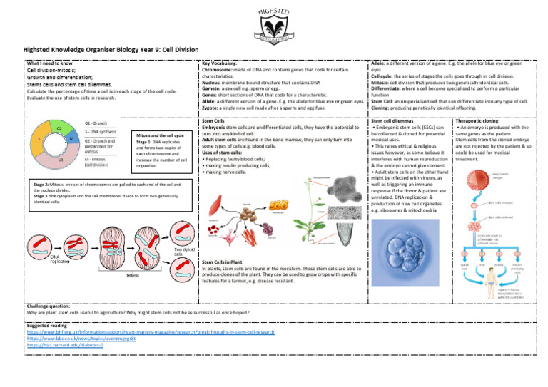 Term 3 Science Y9 | PDF | Cell (Biology) | Stem Cell