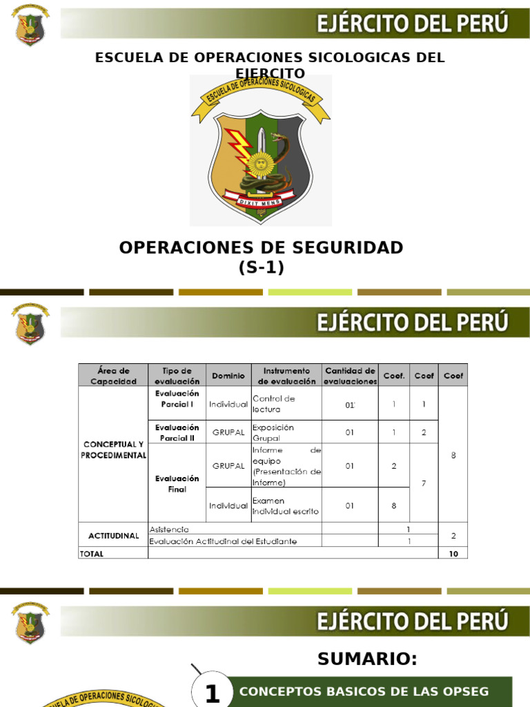 OPSEG | PDF | Inteligencia de señales | Información