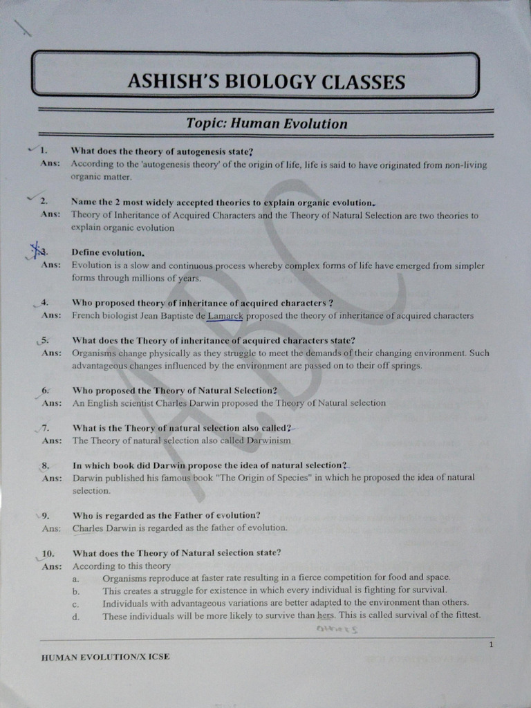 Human Evolution | PDF