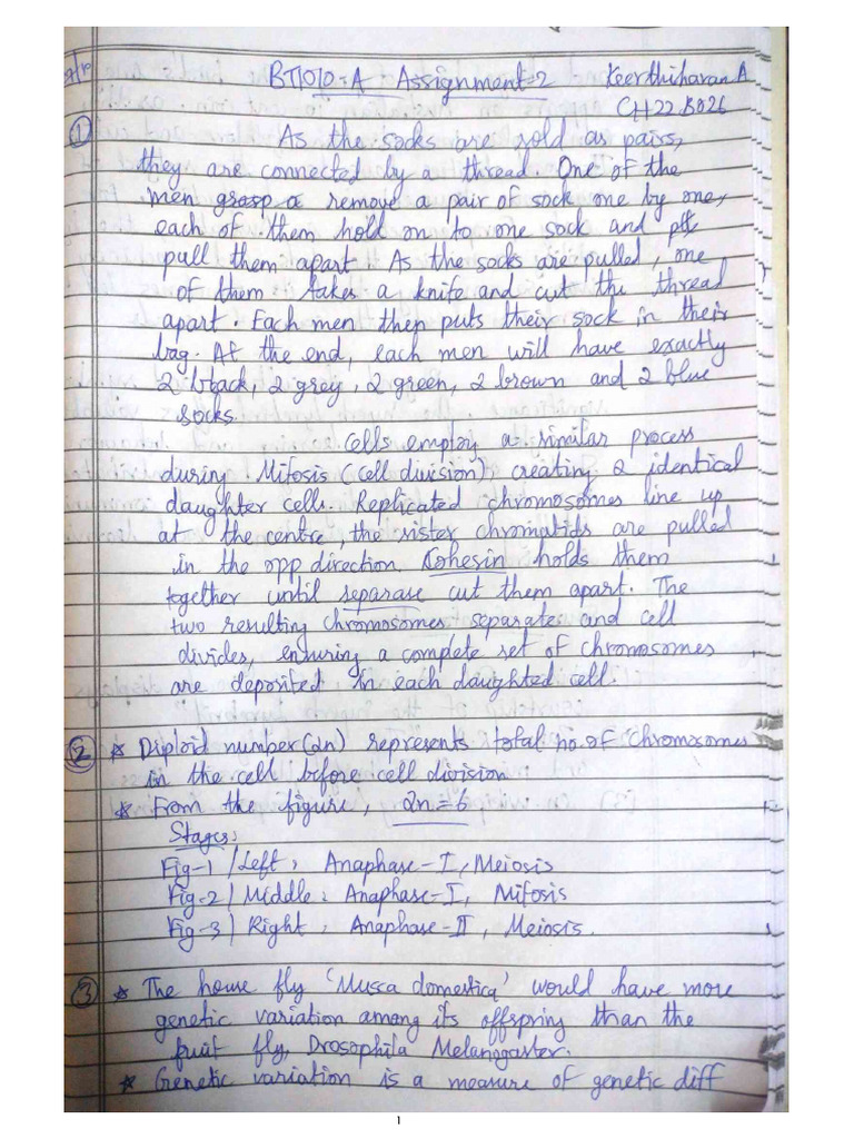 CH22B026 BT1010 Assignment2 | PDF