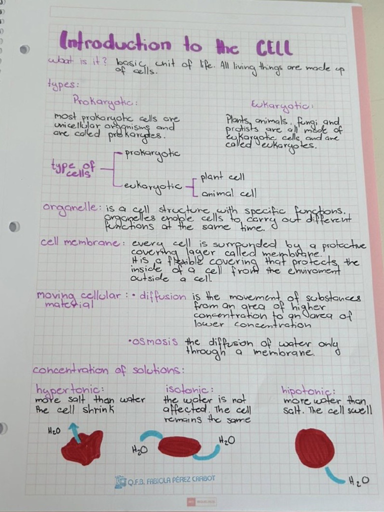 Introduction To The Cell | PDF
