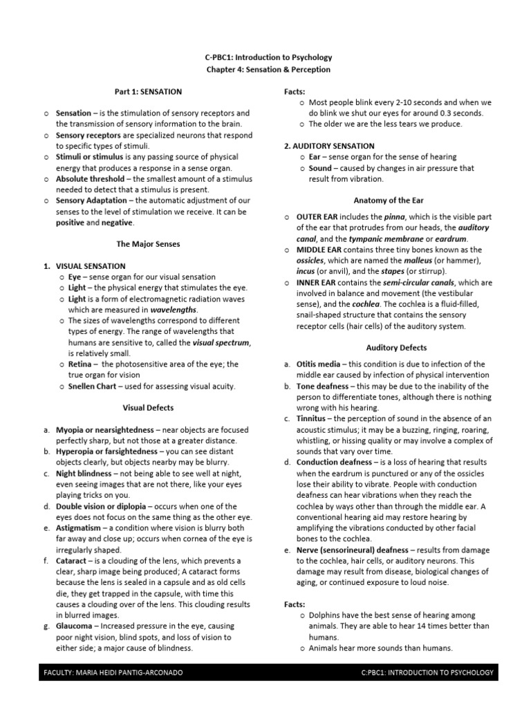 Chapter 4 Sensation and Perception | PDF | Senses | Ear