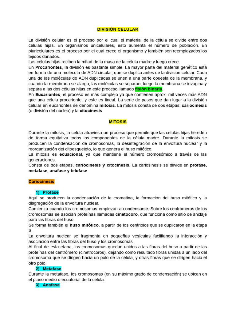 División celular: mitosis y meiosis explicadas | PDF | Mitosis | Anatomía